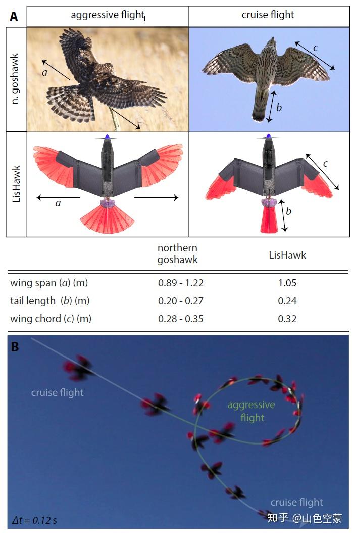 小鸟飞行器-从鲁班的“木鸢“到现代科技下的仿生鸟飞行器-1 - 知乎
