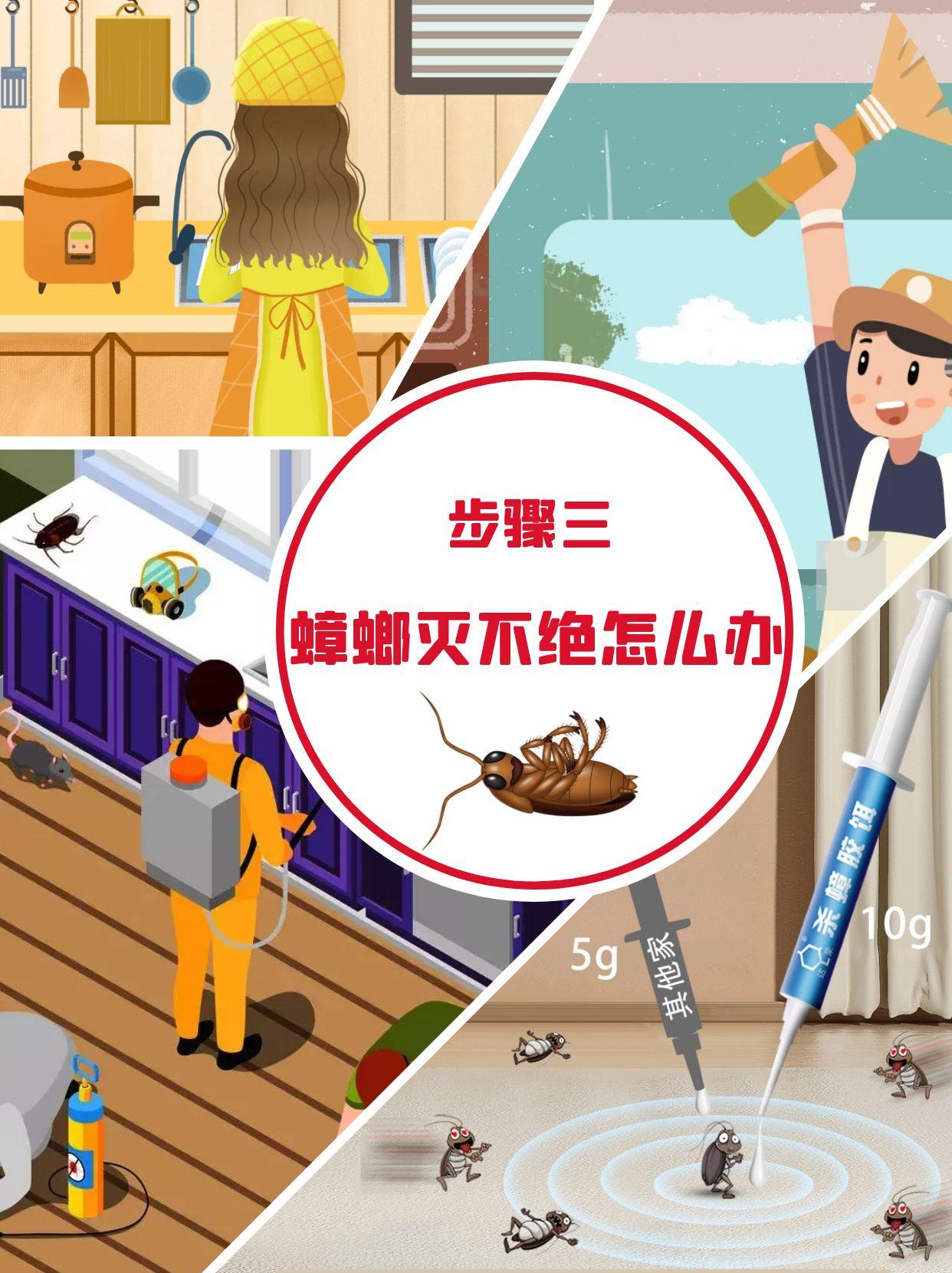 蟑螂灭不绝怎么办？ - 知乎