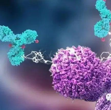 ADC药物DS8201的linker与payload全球专利布局分析|Enhertu抄作业 - 知乎