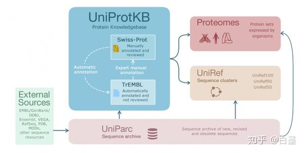 一文极速读懂 Uniprot 蛋白质数据库 - 知乎