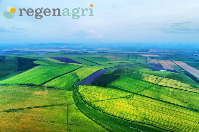 Regenagri认证对小农户的扶持政策探究 - 知乎