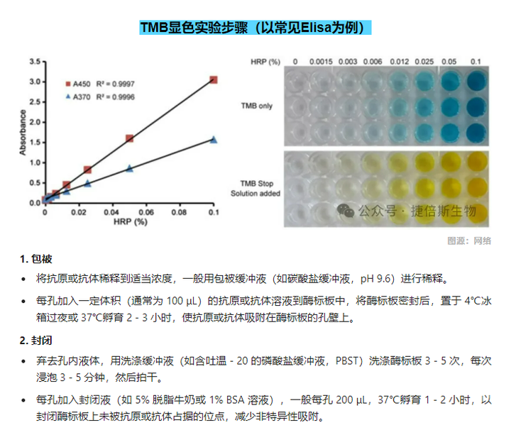 TMB显色原理及常见问题解析 - 知乎