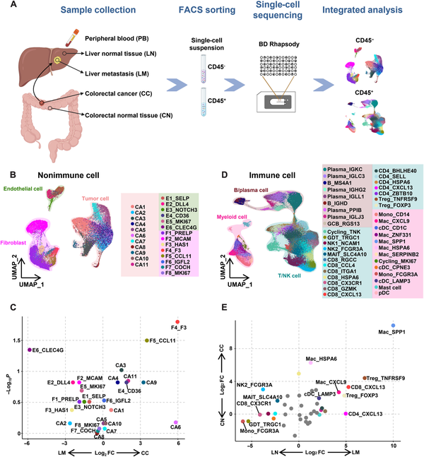 文献解读｜单细胞和空间转录组揭示结直肠癌肝转移的细胞异质性 - 知乎