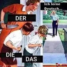 干货|德语中令人发疯的“der die das” 只用三招教会你！ - 知乎