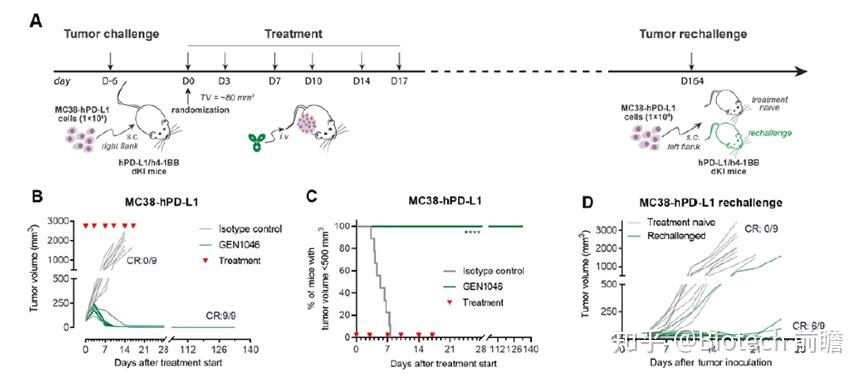 免疫激动剂丨4-1BB单/双抗项目进展 - 知乎