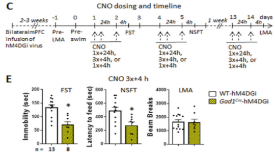 【文献解读】摆脱抑郁！抑制mPFC的GABA能中间神经元让你和抑郁症说再见 - 知乎