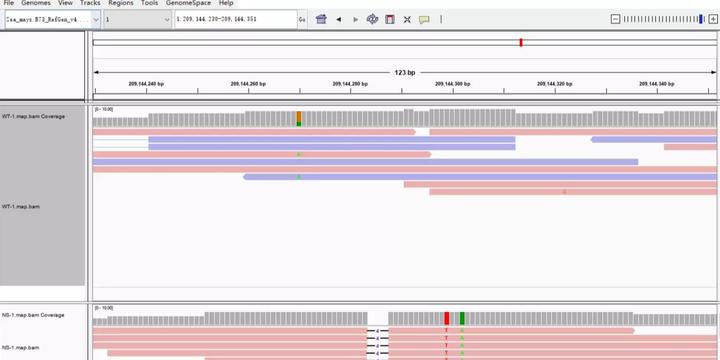 【生信小课堂】如何量化你的bam文件base的coverage - 知乎