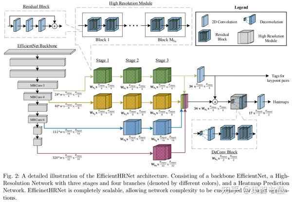 Efficient-HRNet | EfficientNet思想+HRNet技术会不会更强更快呢？ - 知乎