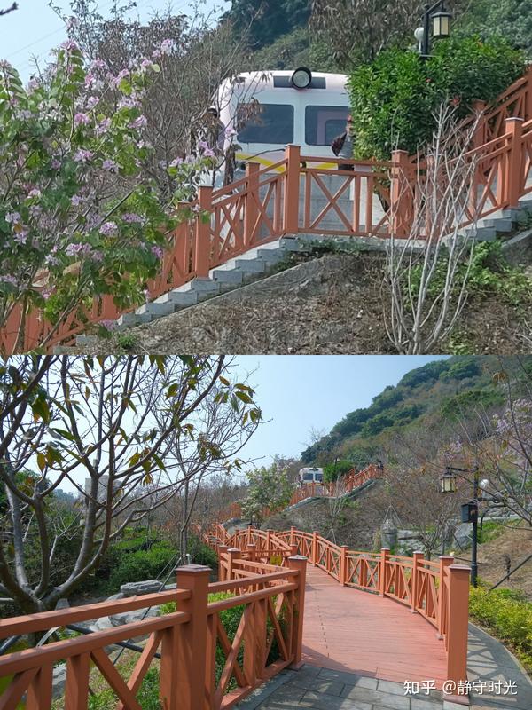 松下S5与富士X-S10对比体验，关联镜头20-60 50f1.8 XC15-45 XF18-55 - 知乎