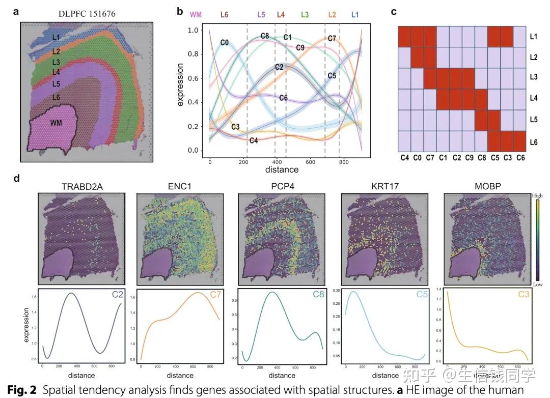 这个生信包功能好全啊，别人都是解决一个问题，他一下子能解决几个——SOAPy - 知乎