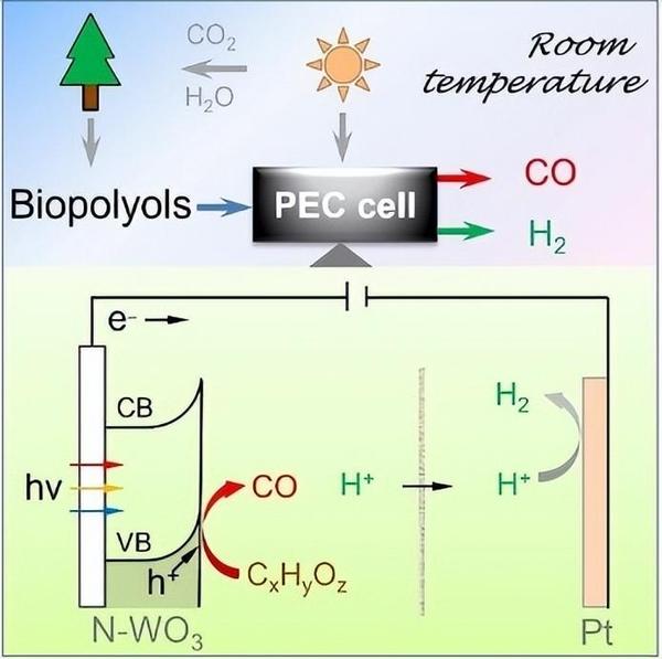 光电催化新体系！最新Angew，同时生产CO和H₂ - 知乎