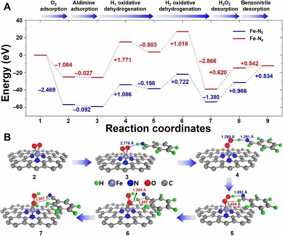 张泽会&戴文Science子刊：酶模拟单Fe-N3原子催化剂助力氧化合成腈 - 知乎