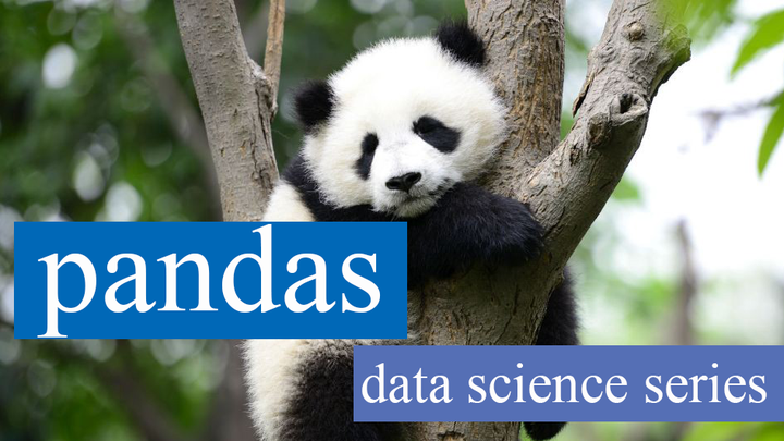 Pandas数据处理(五) — apply() 方法介绍！ - 知乎