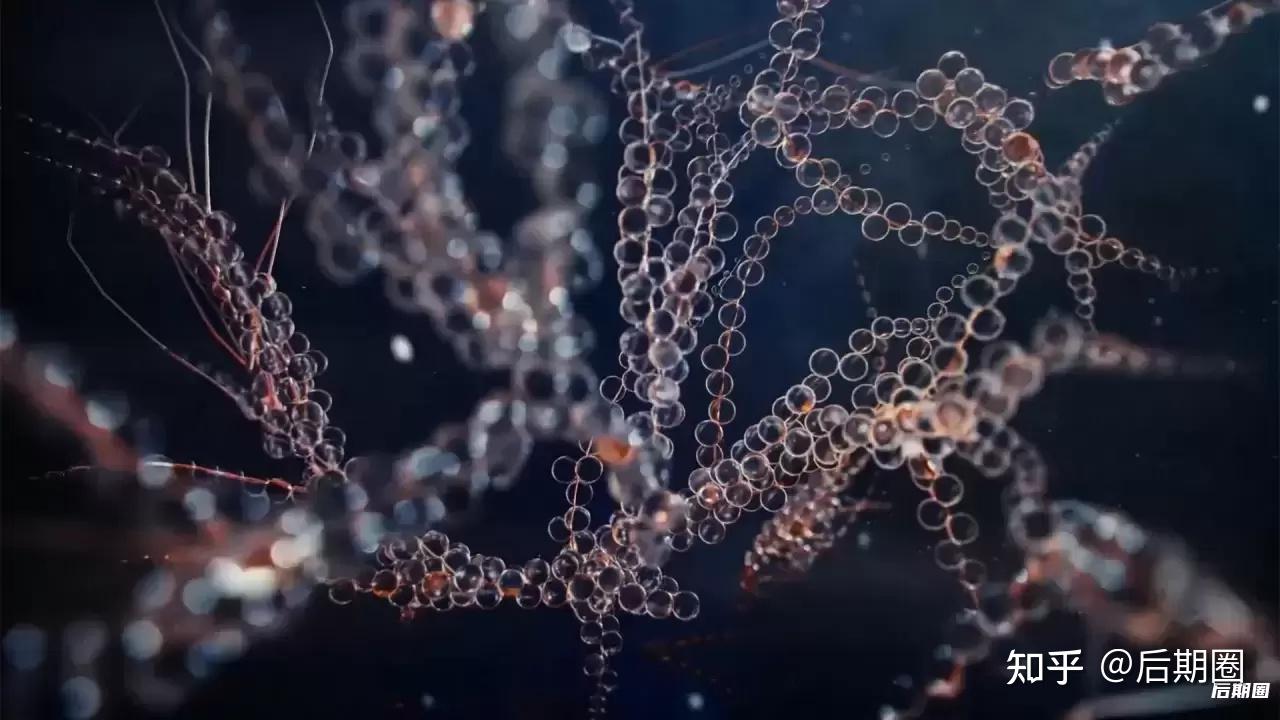 redshift渲染器支持什么显卡? - 知乎