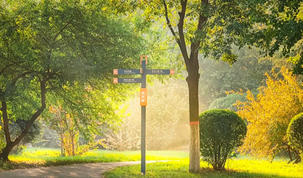 Midjourney Describe API 的对接和使用 - 知乎