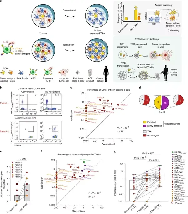 Nat Biotech | NeoScreen产生大量破坏肿瘤的免疫细胞 - 知乎