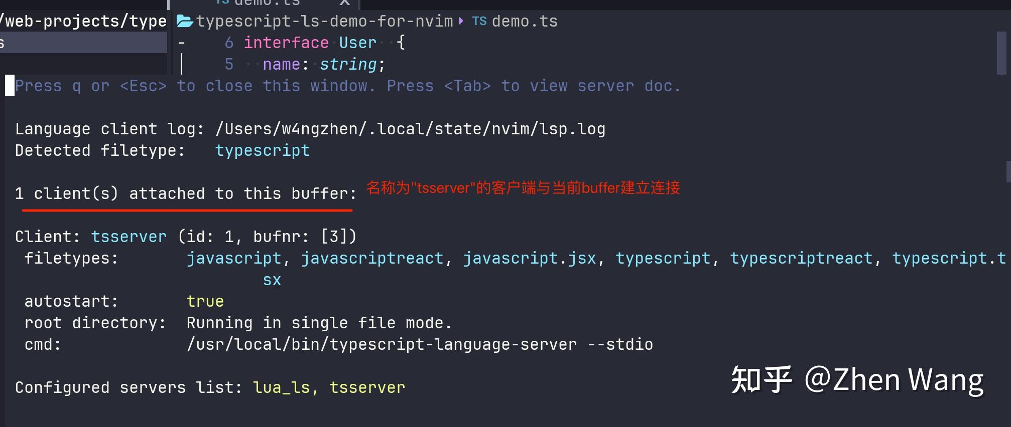 详解nvim内建LSP体系与基于nvim-cmp的代码补全体系 - 知乎
