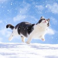 【芯片验证】通过config_db配置信息到sequence中 - 知乎