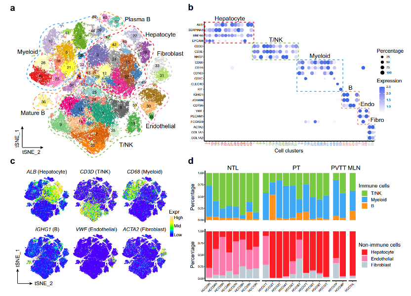 项目文章丨单细胞测序揭示原发及转移性肝癌的免疫微环境特征 - 知乎