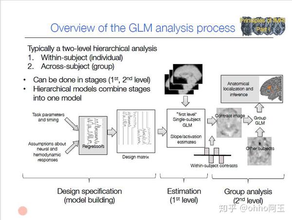 【fMRI】Module17 Details Of Building GLM Models - 知乎