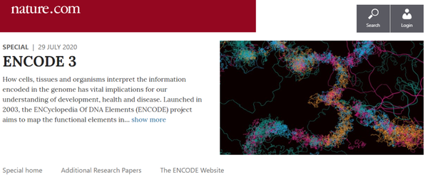 14篇Nature系列合集：DNA元件百科全书最新成果出炉，近6000项实验、120万个功能性元件，挖掘基因开关的奥秘 - 知乎