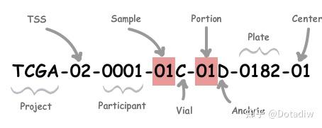 TCGA Barcodes 解读 - 知乎