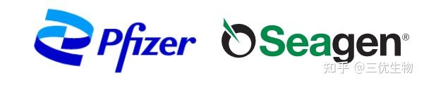 三优药讯｜一文了解被辉瑞430亿美元收购的 Seagen - 知乎