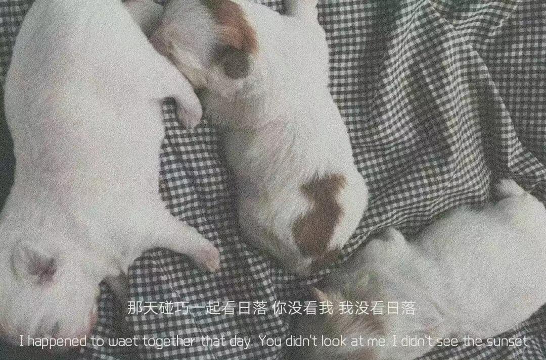 超治愈的短句文案 知乎