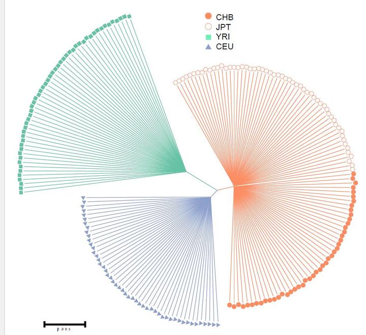 VCF2Dis 升级 1.52 及讨论 （关系树 vs 物种树） - 知乎