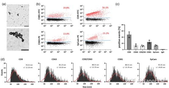 最新突破：如何从体液中获得真正的细胞外囊泡 - 知乎