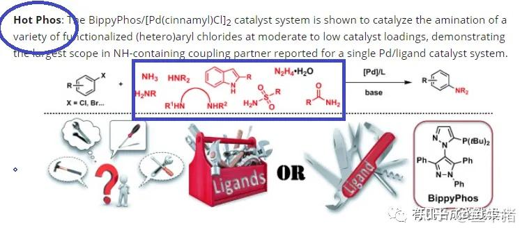 Buchwald反应-万能组合，身边必备 - 知乎