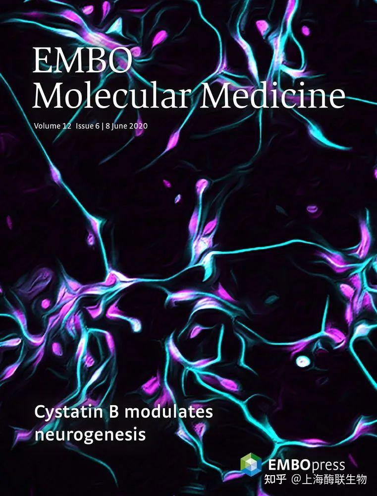 MLBIO丨酶联生物ELISA试剂盒产品SCI文献精选 - 知乎