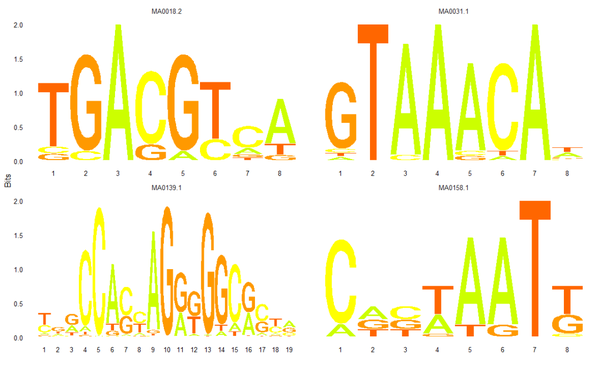 R可视化——ggseqlogo包绘制序列分析图 - 知乎