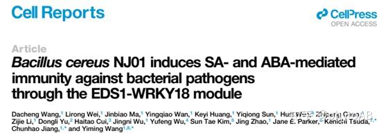 PhytoAB助力顶尖科研：Cell Rep:蜡样芽孢杆菌 NJ01 通过 EDS1-WRKY18 模块诱导 SA 和 ABA 介导的针对细菌 ...