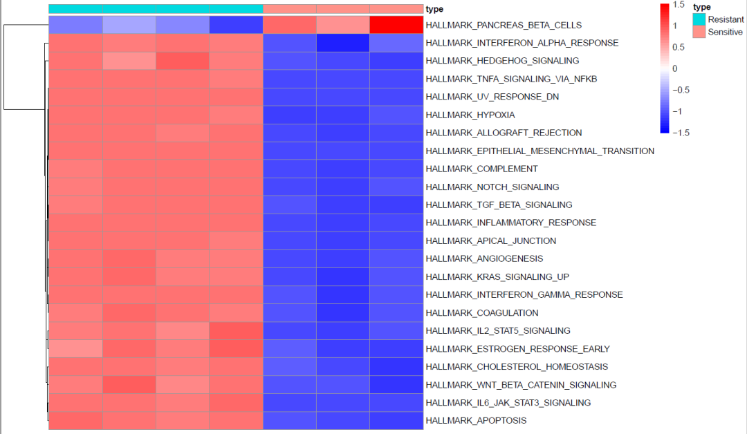 【实战】GSVA基因集热图绘制 - 知乎