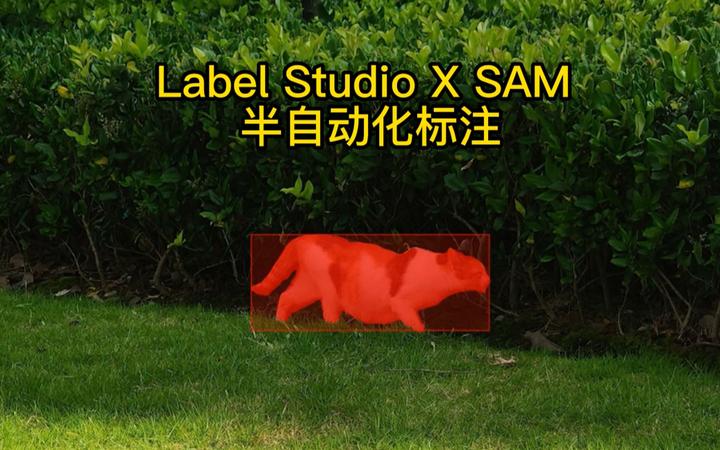 基于 SAM 的半自动标注新方法，手把手教会你！ - 知乎
