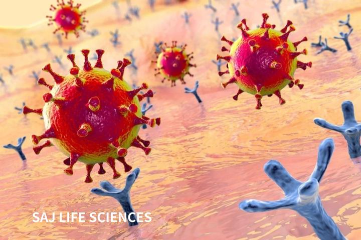XBB.1.5与BQ.1.1和XBB/XBB.1 相比，表现出更高的hACE2结合亲和力 - 知乎