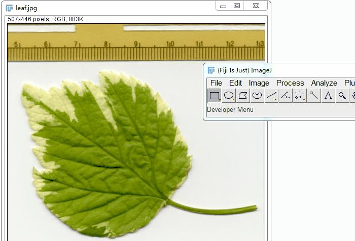 ImageJ实用技巧——快速区域选取(基础功能篇) - 知乎