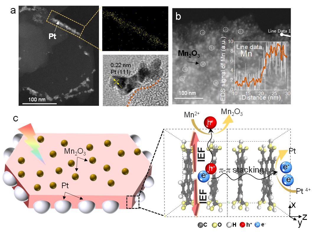 清华大学朱永法团队NC：有机光催化剂新进展 - 知乎