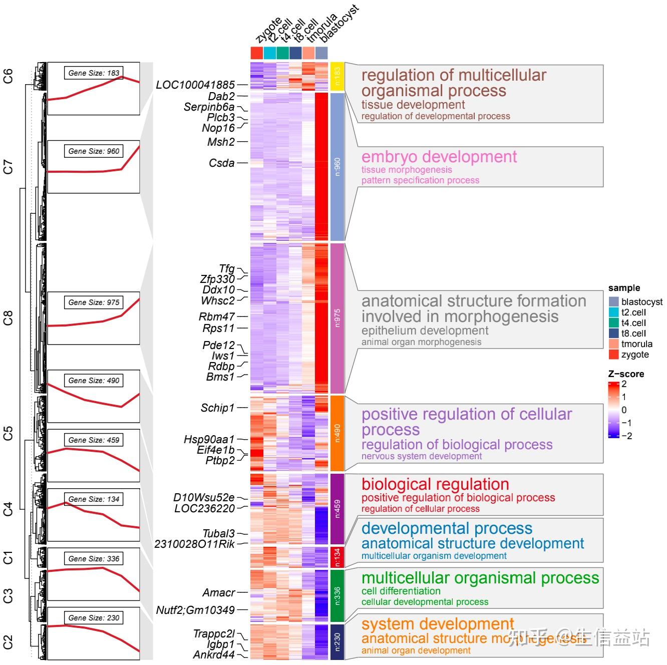 转录组画这一个图就够了（附代码） - 知乎