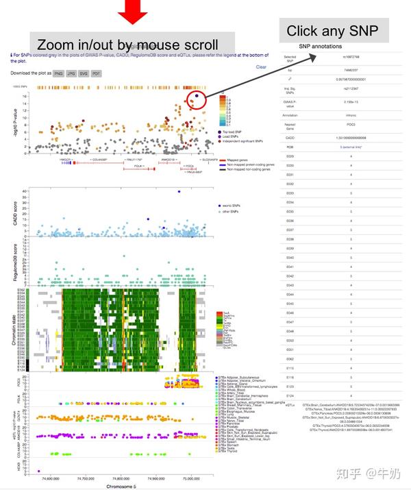 SNP功能注释网站合集 - 知乎