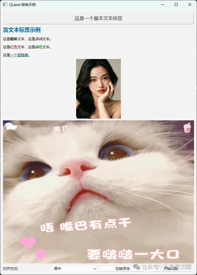 PyQt6 QLabel详解：不只是显示文本那么简单 - 知乎