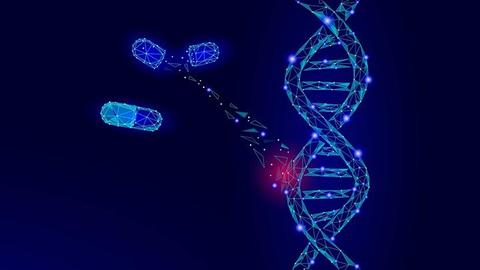 Mol Cancer | 我国科学家发现MELK在肝癌中的多重关键作用与治疗潜力 - 知乎