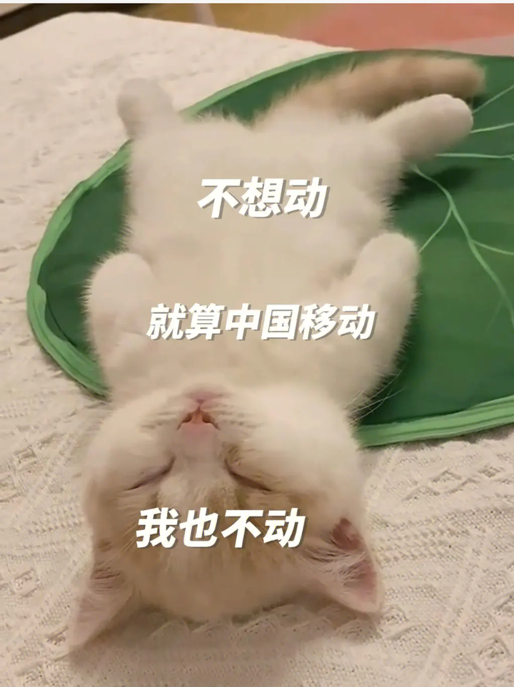 WEPE系统安装纯净版window11教程（包含pe内系统安装方法） - 知乎