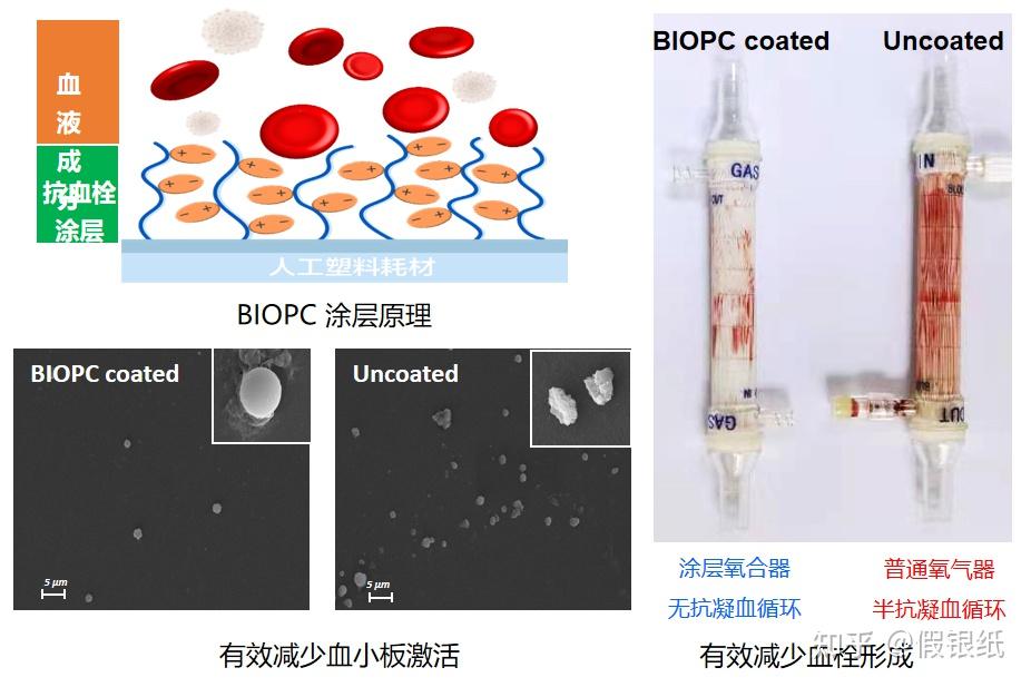 小动物器官灌注系统DEVOCEAN-ORGAN 10 - 知乎