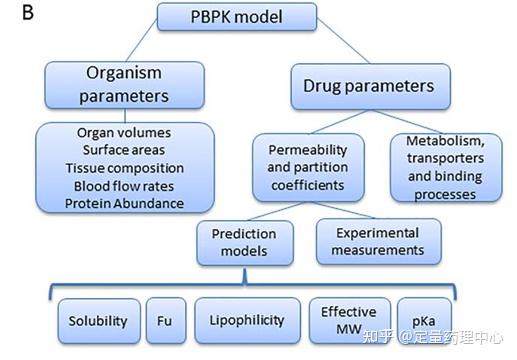 利用PBPKPD模型快速高效发现具有潜力的新药 - 知乎