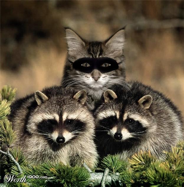 关于std::once_flag - 知乎