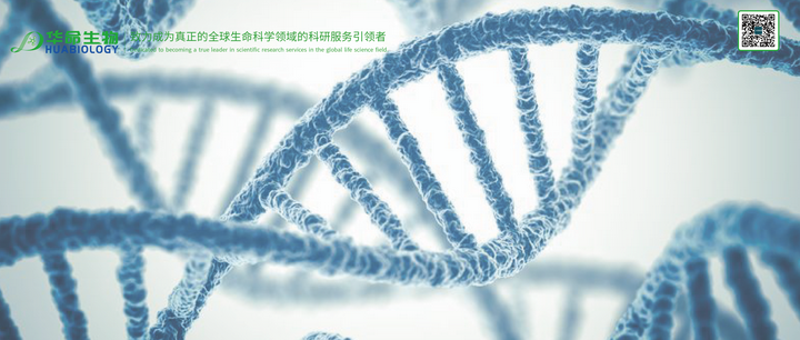 T2T重磅丨仅ONT普通测序实现T2T基因组组装 - 知乎