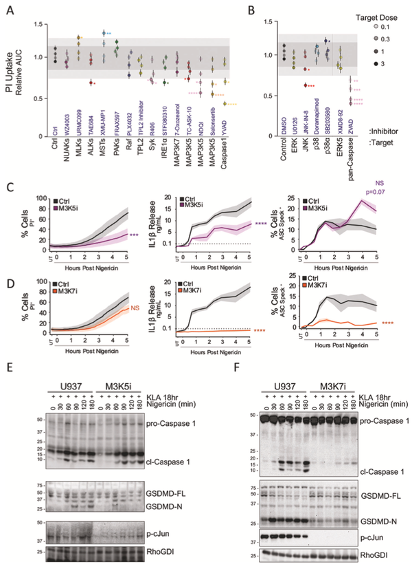 大CDD丨双相 JNK 信号揭示了不同的 MAP3K 复合物引发炎性体形成和细胞焦亡 - 知乎