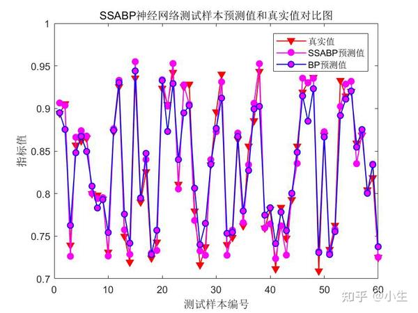 基于matlab的麻雀算法优化bp神经网络实现数据预测 知乎 